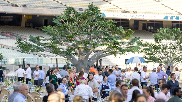 MCG Network Events | MCG
