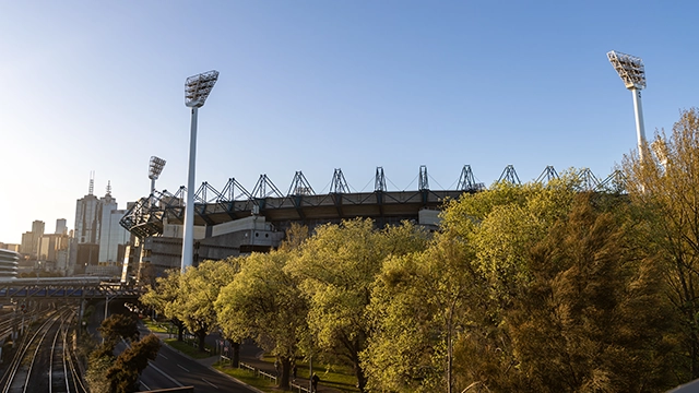 Governance | MCG